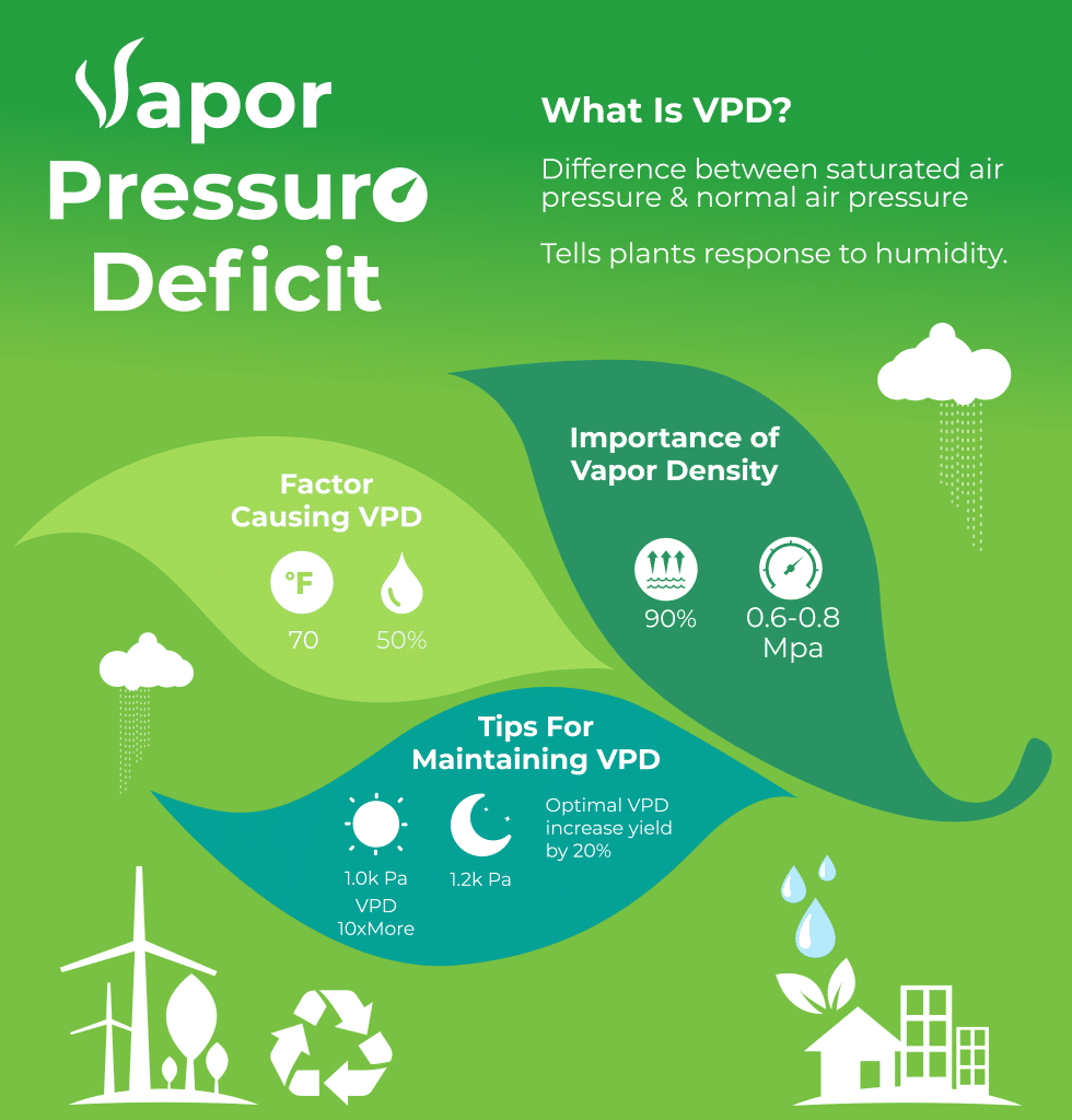 5 Effects of Vapor Pressure Deficit That Are Observed In Plants - Go ...